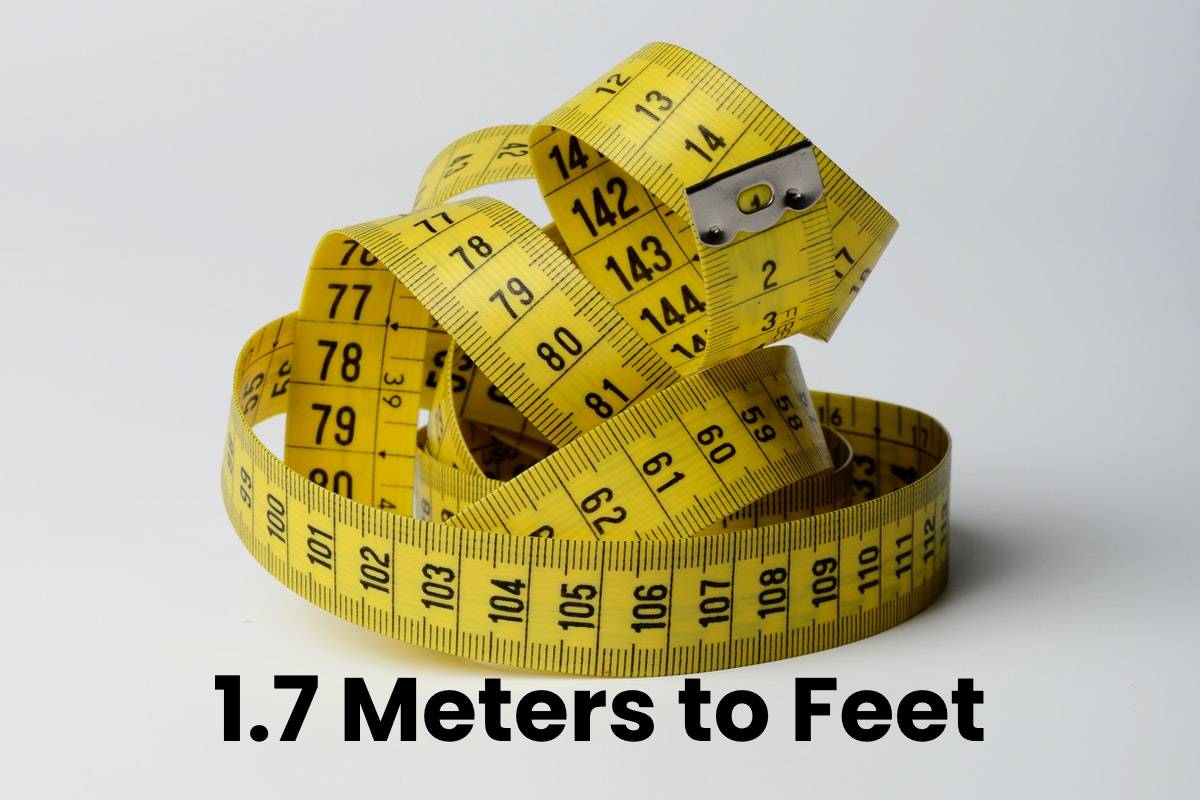 1 7 Meters To Feet 1 7 Meters To Feet