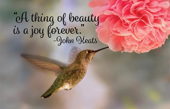 A Thing of Beauty Explanation by John Keats